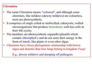 L 3-4. Causes of PD.ppt