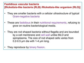 L 3-4. Causes of PD.ppt