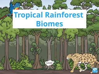 L3- Adaptations in the Rainforest Lesson for Year 5 students | PPT