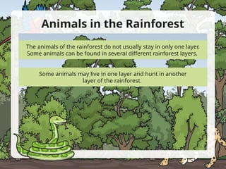 L3- Adaptations in the Rainforest Lesson for Year 5 students | PPT