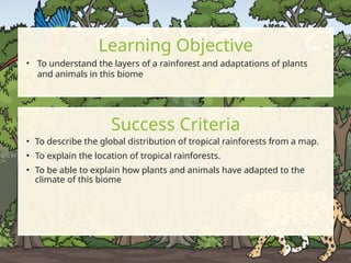 L3- Adaptations in the Rainforest Lesson for Year 5 students | PPT