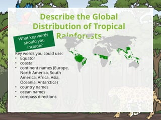 L3- Adaptations in the Rainforest Lesson for Year 5 students | PPT