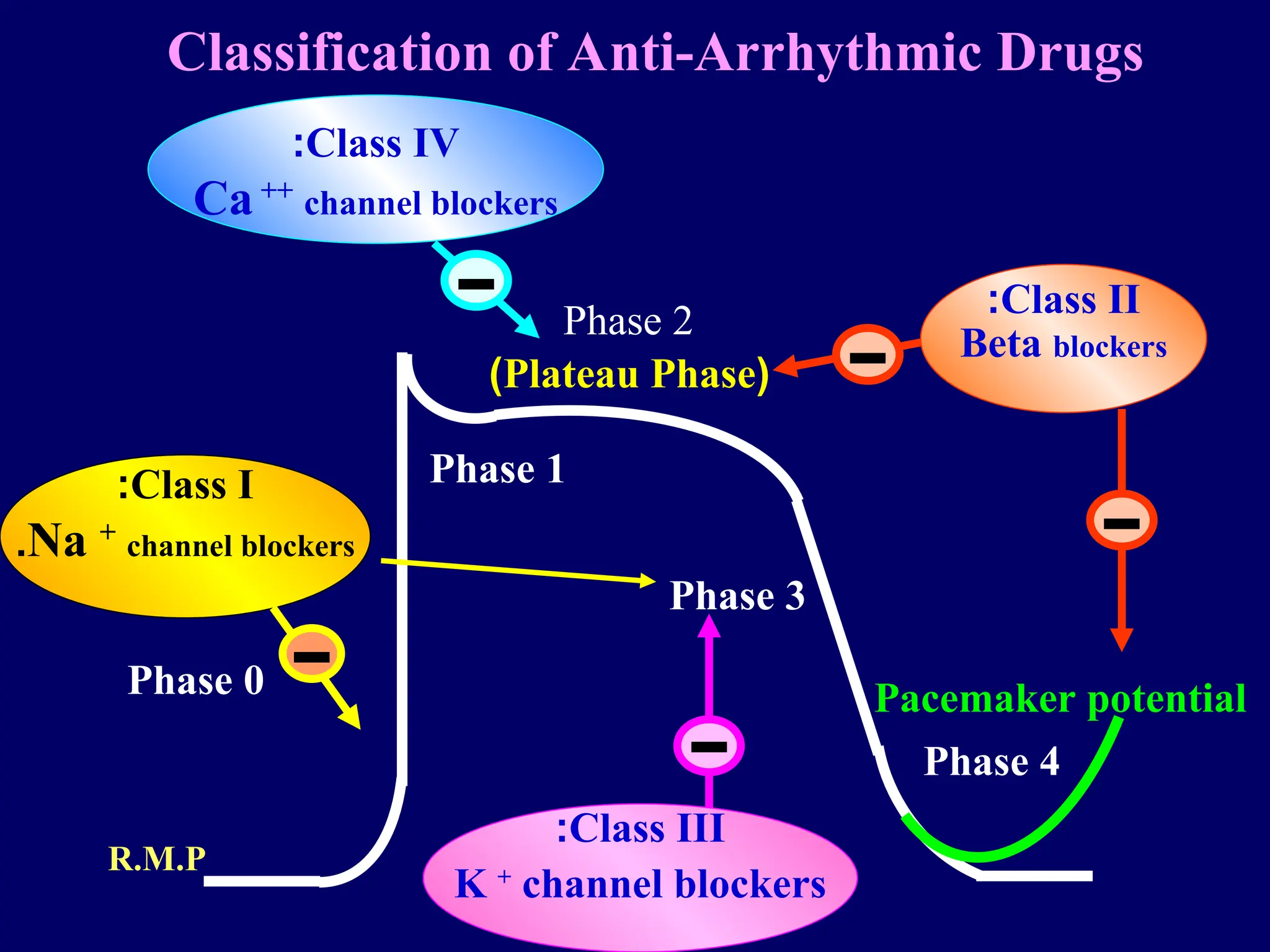 L3 - bradyarythmiaaaaaaaaaaaaaaaaaaaaaa.ppt