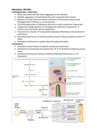 L3 - CH66 Absorption & Digestion.docx | Digestive Disorders | Diseases ...