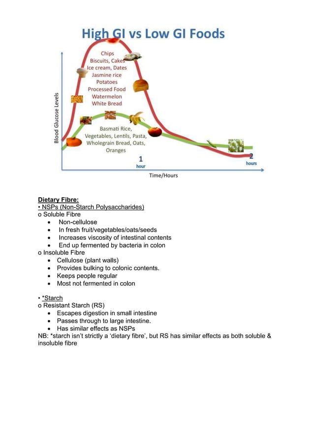 L3 - CH66 Absorption & Digestion.docx | Digestive Disorders | Diseases ...