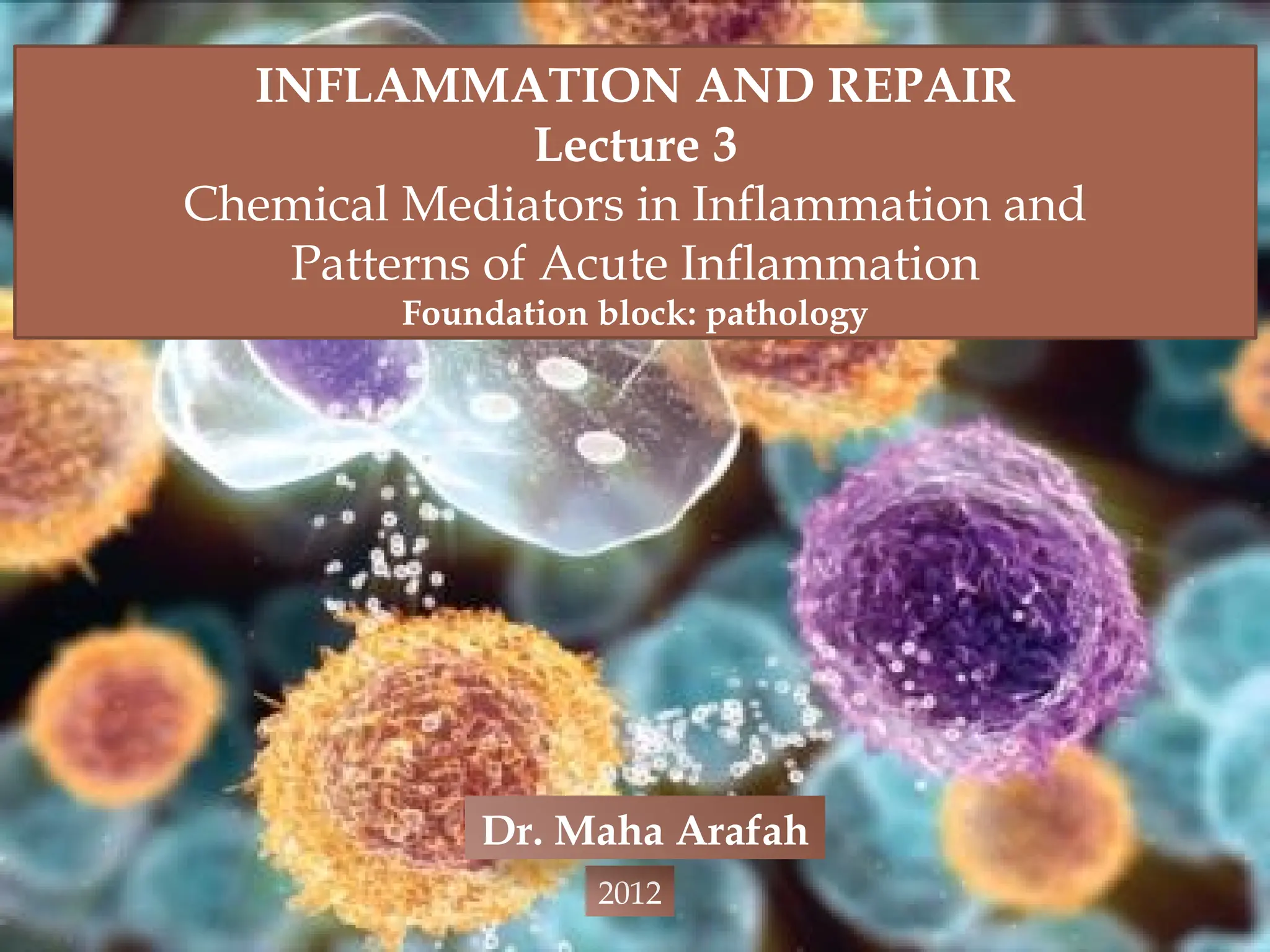 L3-Inflammation Pathology Lecture .pptx