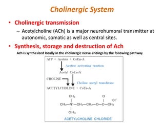 Introduction to ans, cholinergics system | PPTX
