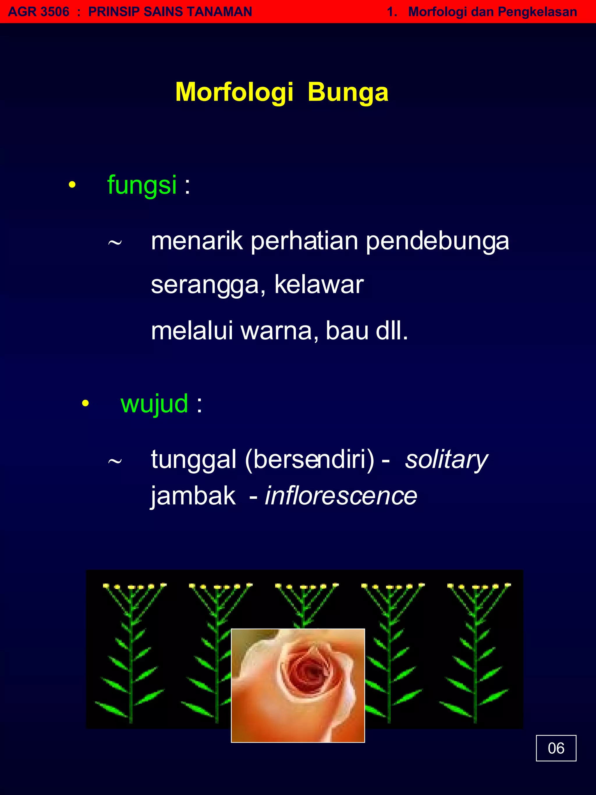 Morfologi & Pengkelasan (2) | PPT
