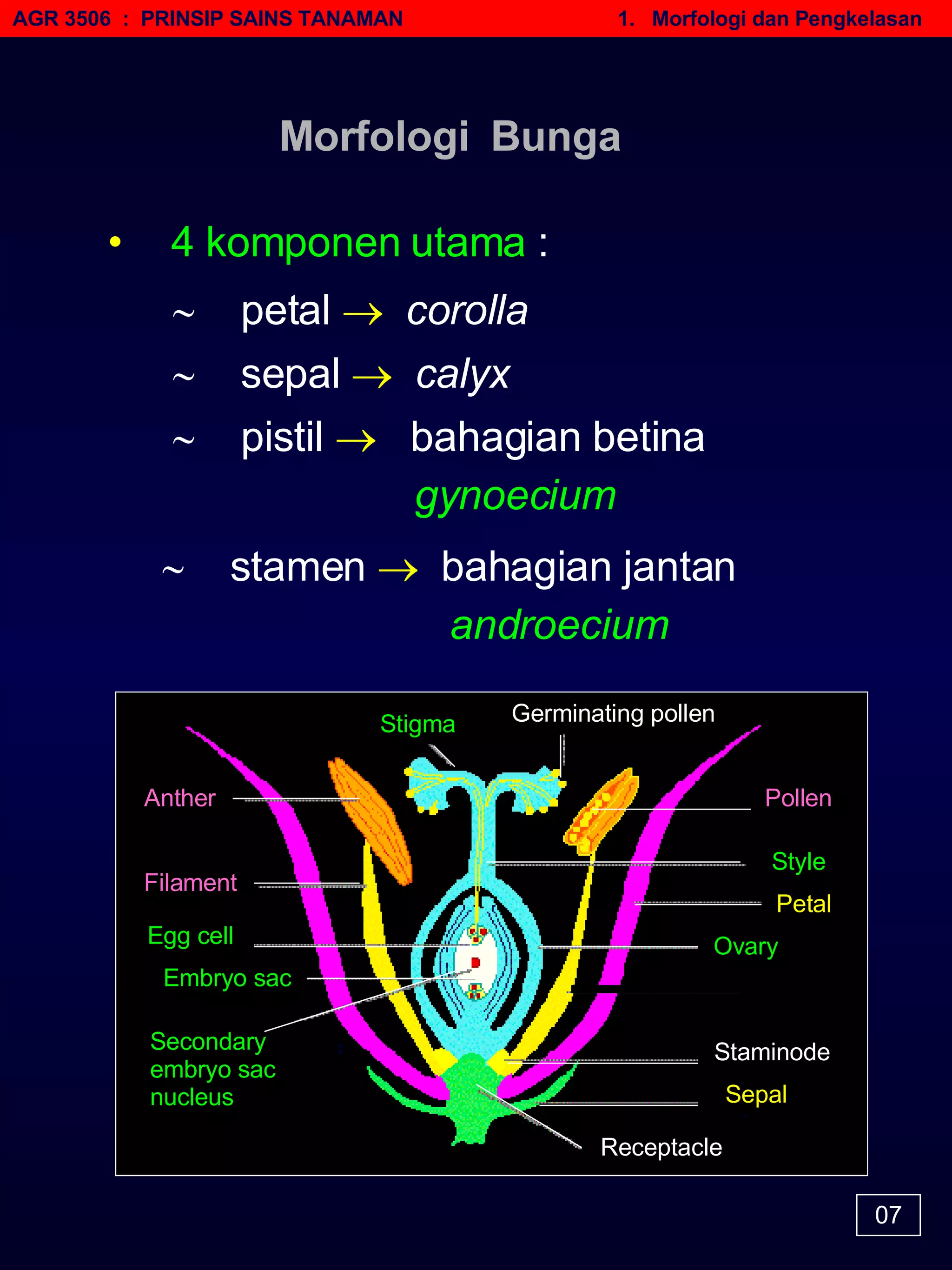 Morfologi & Pengkelasan (2) | PPT