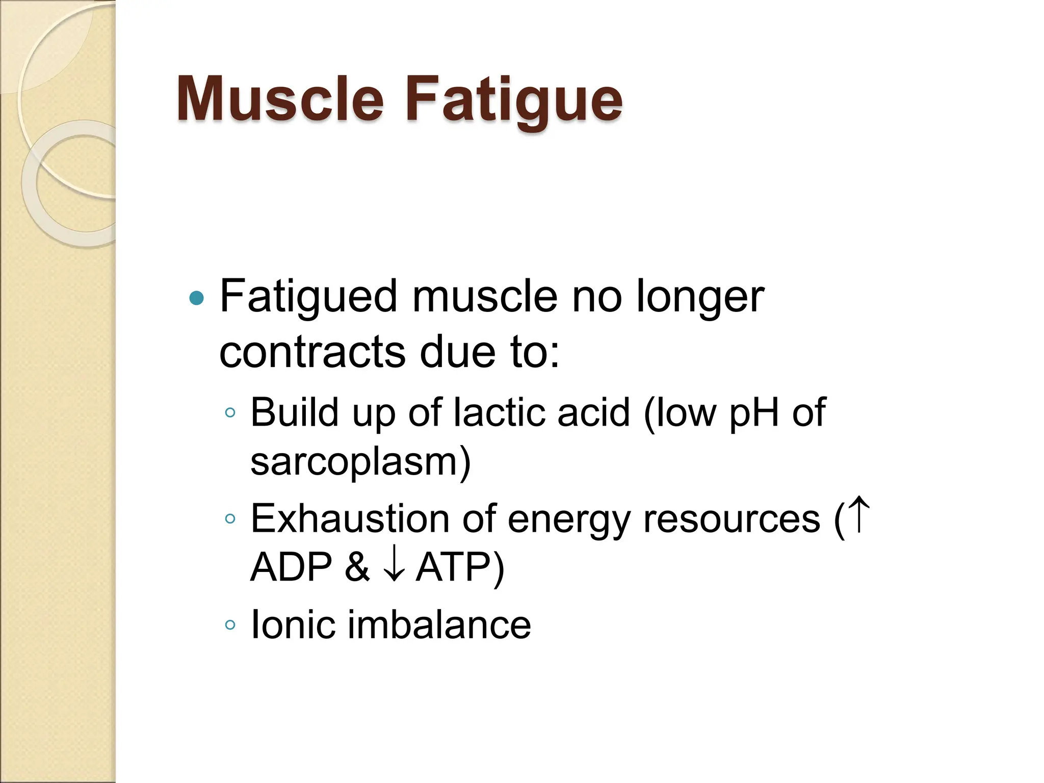 L3-RS_Aerobic & Anaerobic Metabolism in Muscles_MSK_Block_Dec2013.ppt