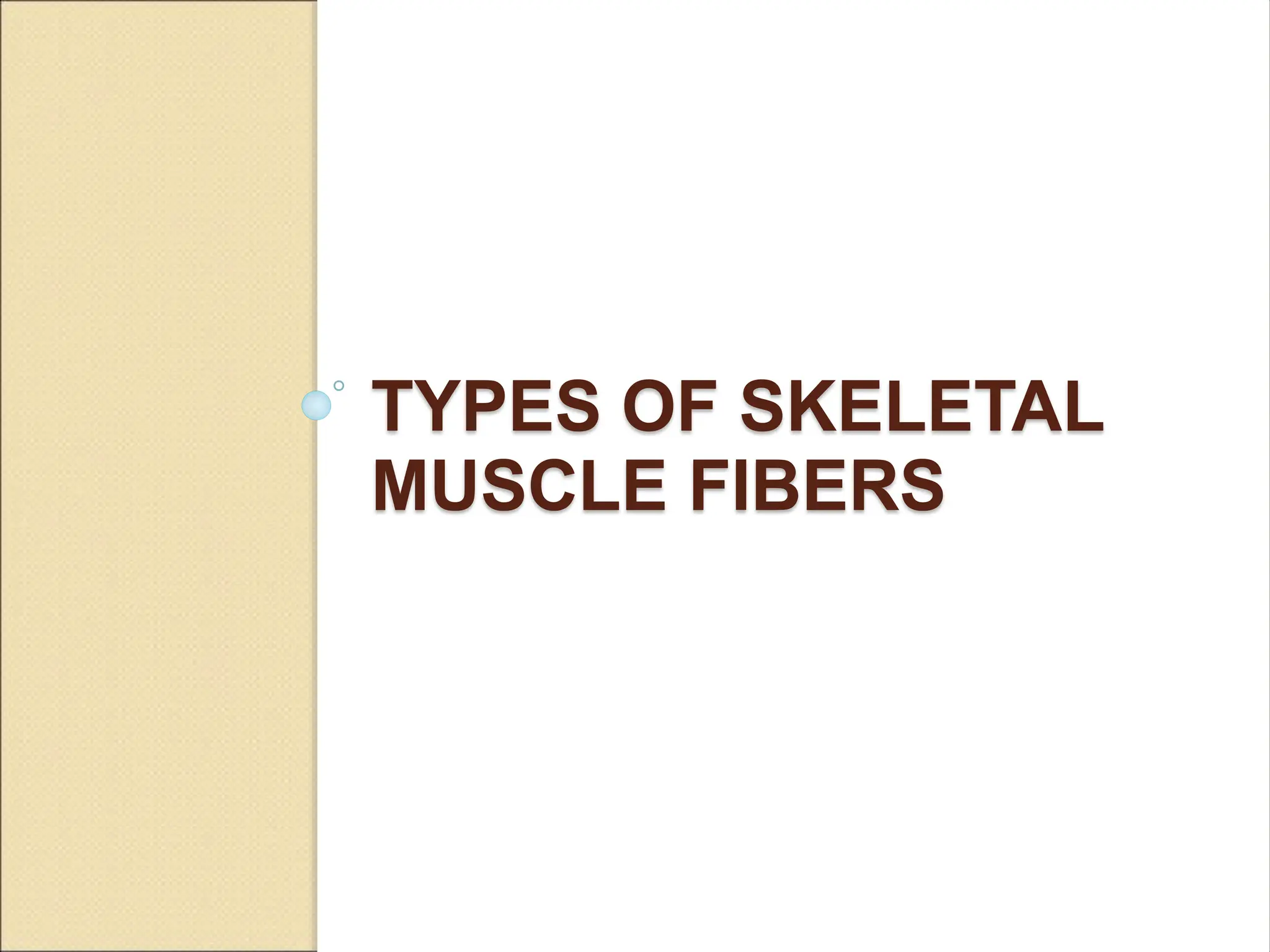 L3-RS_Aerobic & Anaerobic Metabolism in Muscles_MSK_Block_Dec2013.ppt