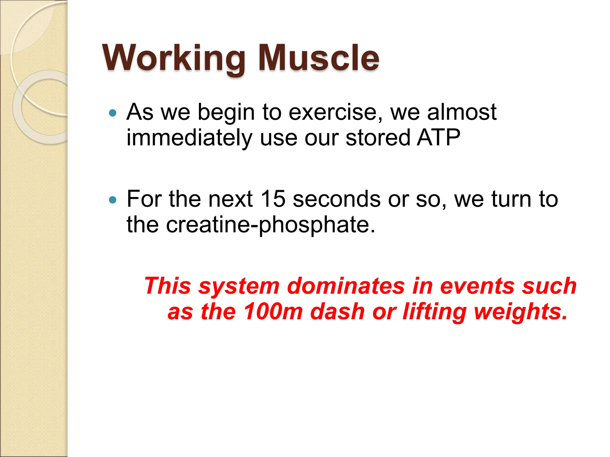L3-RS_Aerobic & Anaerobic Metabolism in Muscles_MSK_Block_Dec2013.ppt