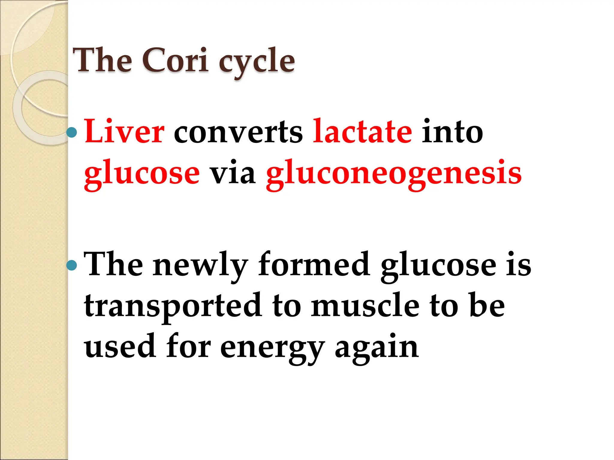 L3-RS_Aerobic & Anaerobic Metabolism in Muscles_MSK_Block_Dec2013.ppt