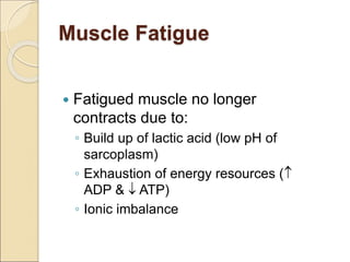 L3-RS_Aerobic & Anaerobic Metabolism in Muscles_MSK_Block_Dec2013.ppt