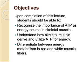 L3-RS_Aerobic & Anaerobic Metabolism in Muscles_MSK_Block_Dec2013.ppt