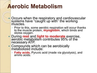L3-RS_Aerobic & Anaerobic Metabolism in Muscles_MSK_Block_Dec2013.ppt
