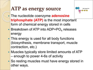 L3-RS_Aerobic & Anaerobic Metabolism in Muscles_MSK_Block_Dec2013.ppt
