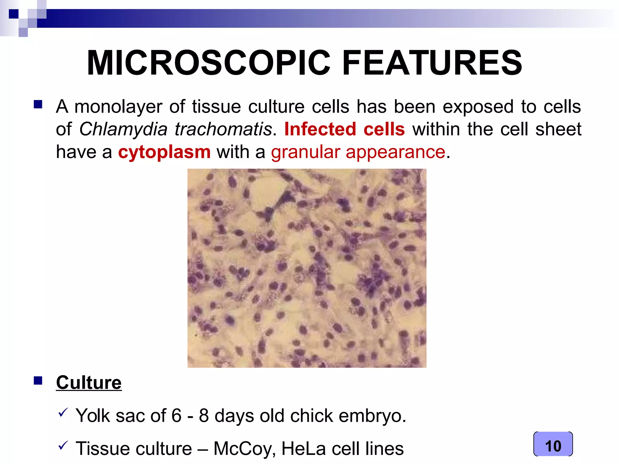 Medical Microbiology Laboratory (Chlamydia spp.) | PDF
