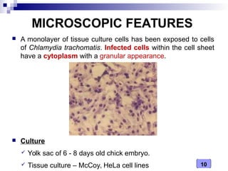 Medical Microbiology Laboratory (Chlamydia spp.) | PDF