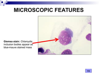 Medical Microbiology Laboratory (Chlamydia spp.) | PDF | Infectious ...