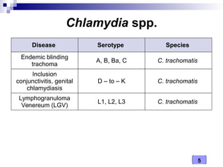 Medical Microbiology Laboratory (Chlamydia spp.) | PDF