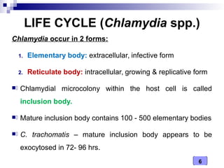 Medical Microbiology Laboratory (Chlamydia spp.) | PDF