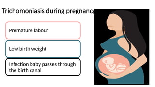L30- (Para power-2) Trichomoniasis & Carcinogenic GUP .pptx