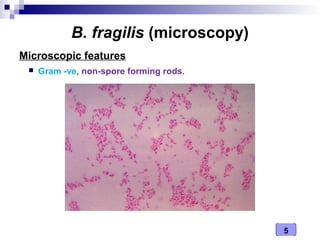 Medical Microbiology Laboratory (Bacteroides spp.) | PDF
