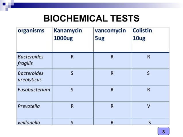Medical Microbiology Laboratory (Bacteroides spp.)