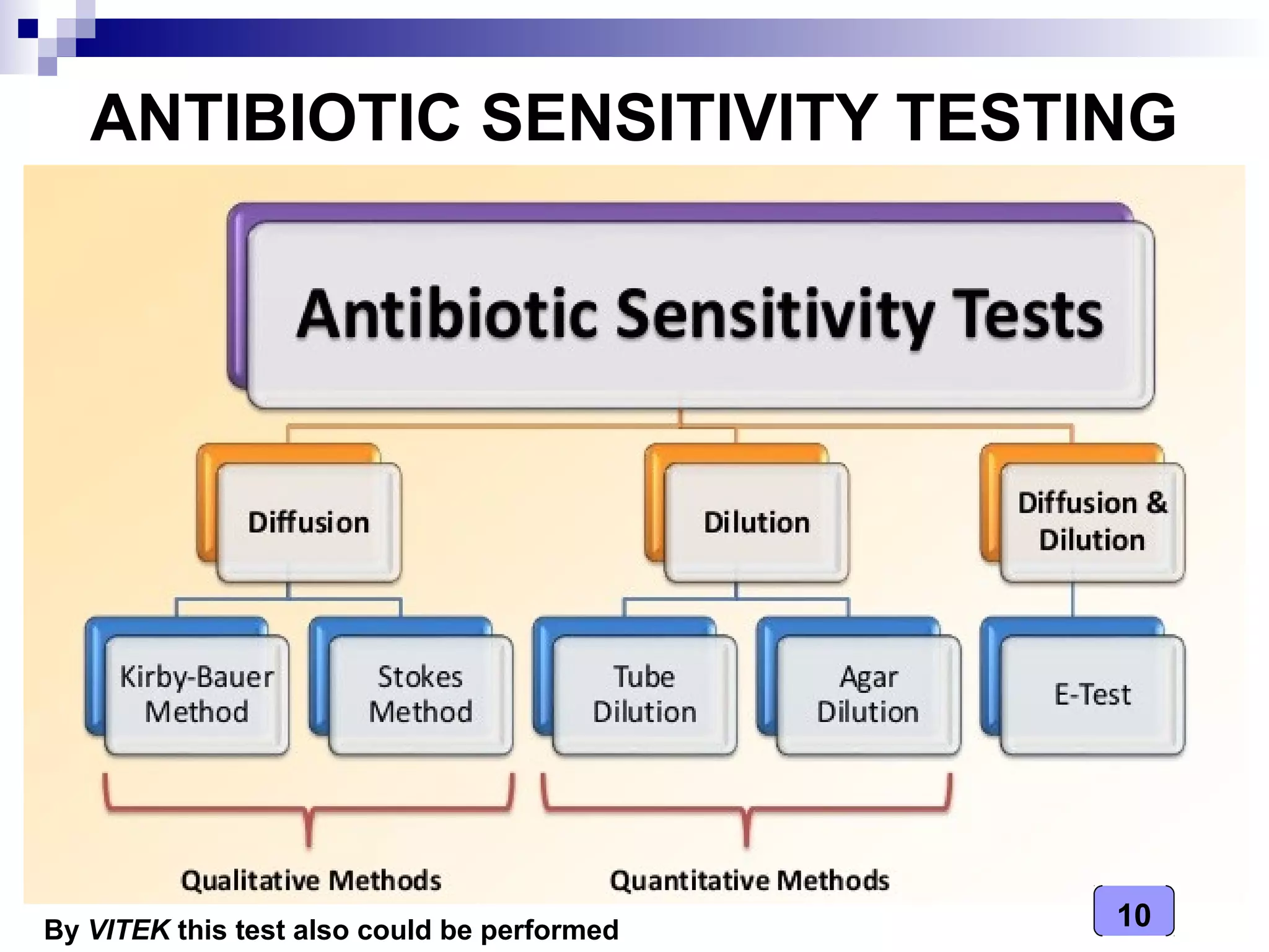 Medical Microbiology Laboratory (Antibiotics Sensitivity Testing) | PDF