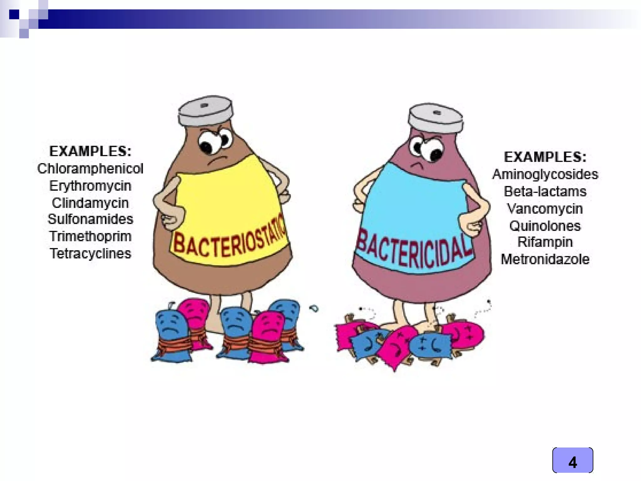 Medical Microbiology Laboratory (Antibiotics Sensitivity Testing) | PDF