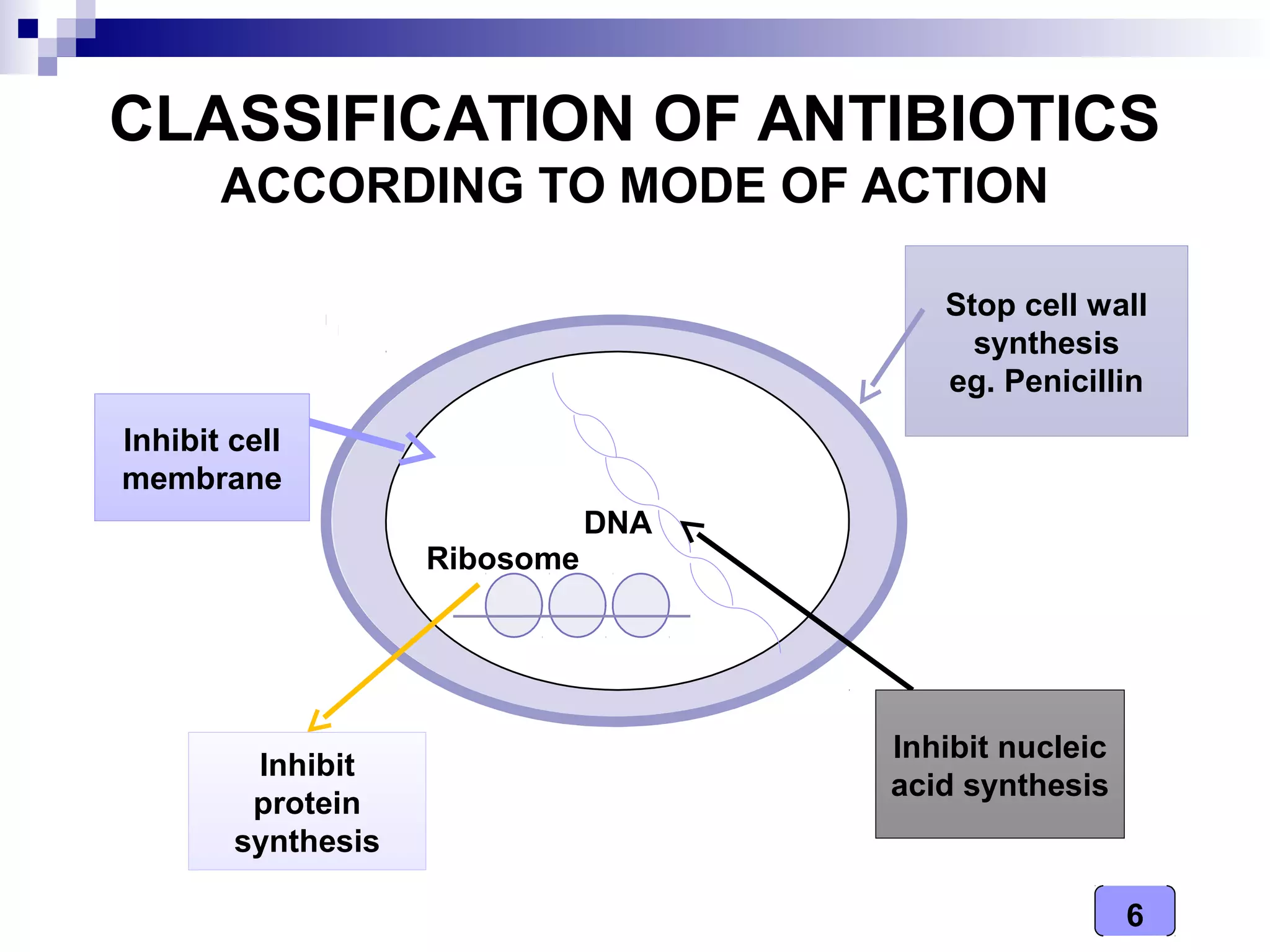 Medical Microbiology Laboratory (Antibiotics Sensitivity Testing) | PDF