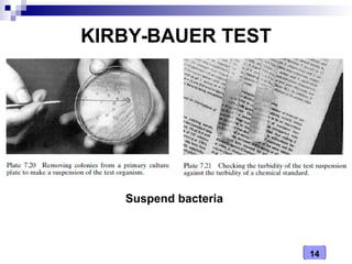 Medical Microbiology Laboratory (Antibiotics Sensitivity Testing) | PPT