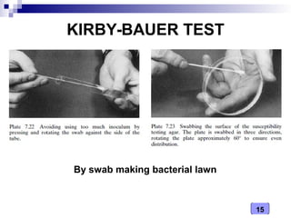 Medical Microbiology Laboratory (Antibiotics Sensitivity Testing) | PPT