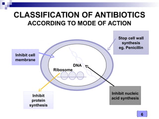 Medical Microbiology Laboratory (Antibiotics Sensitivity Testing) | PPT