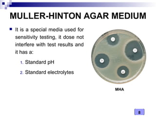 Medical Microbiology Laboratory (Antibiotics Sensitivity Testing) | PPT