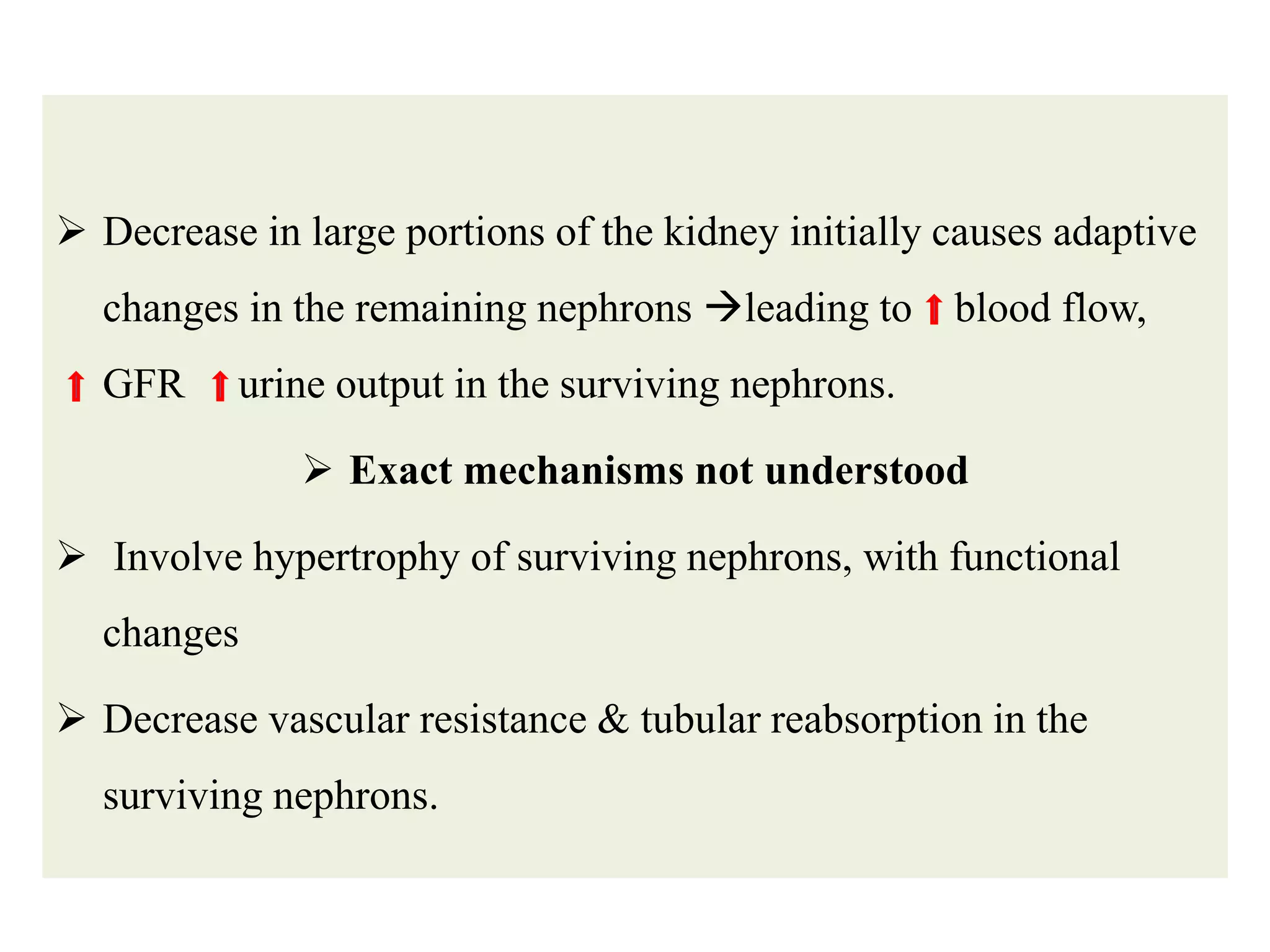 L 32 Pathophysiology of End-Stage Renal Disease 2023.pptx