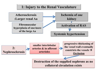 L 32 Pathophysiology of End-Stage Renal Disease 2023.pptx