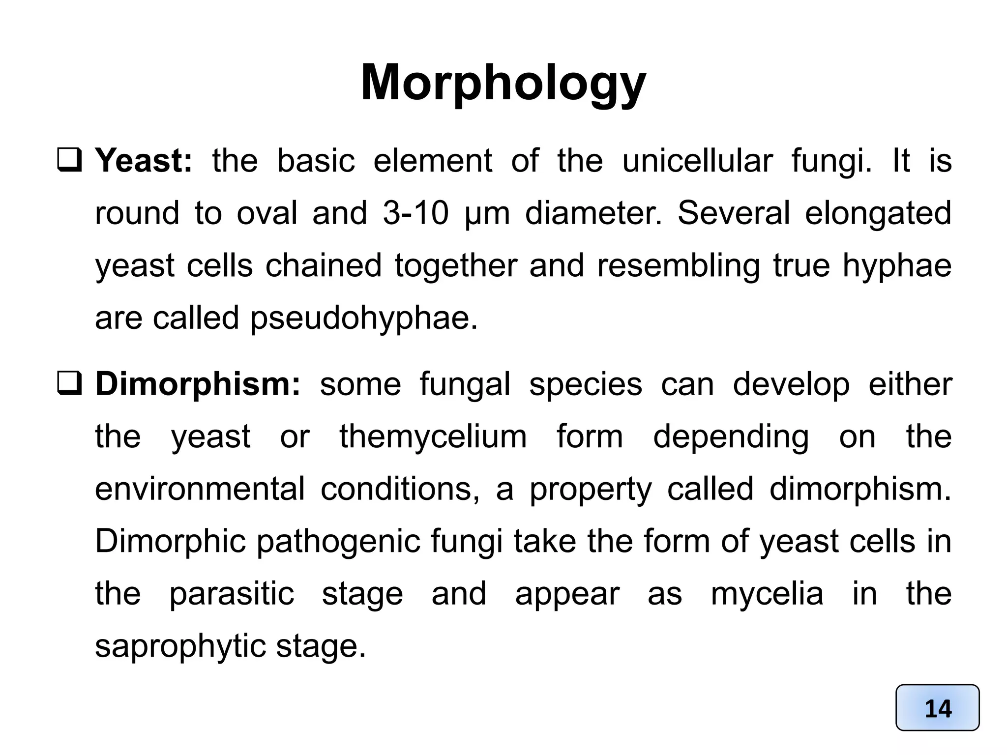 Medical Microbiology Laboratory (Introduction to Medical Mycology) | PDF