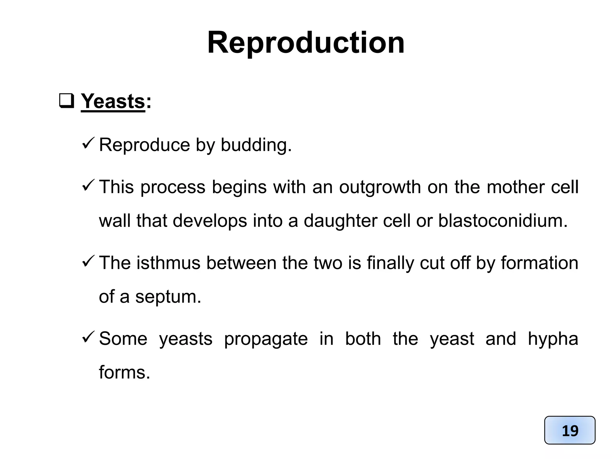 Medical Microbiology Laboratory (Introduction to Medical Mycology) | PDF