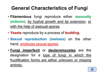 Medical Microbiology Laboratory (Introduction to Medical Mycology) | PDF