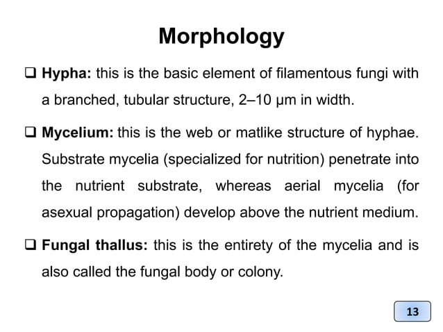 Medical Microbiology Laboratory (Introduction to Medical Mycology ...