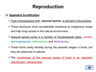 Medical Microbiology Laboratory (Introduction to Medical Mycology ...