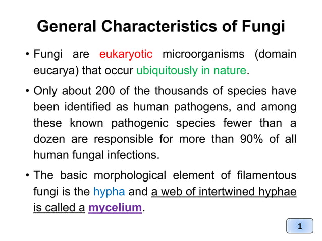Medical Microbiology Laboratory (Introduction to Medical Mycology)