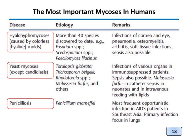Medical Microbiology Laboratory (Introduction to Medical Mycology)
