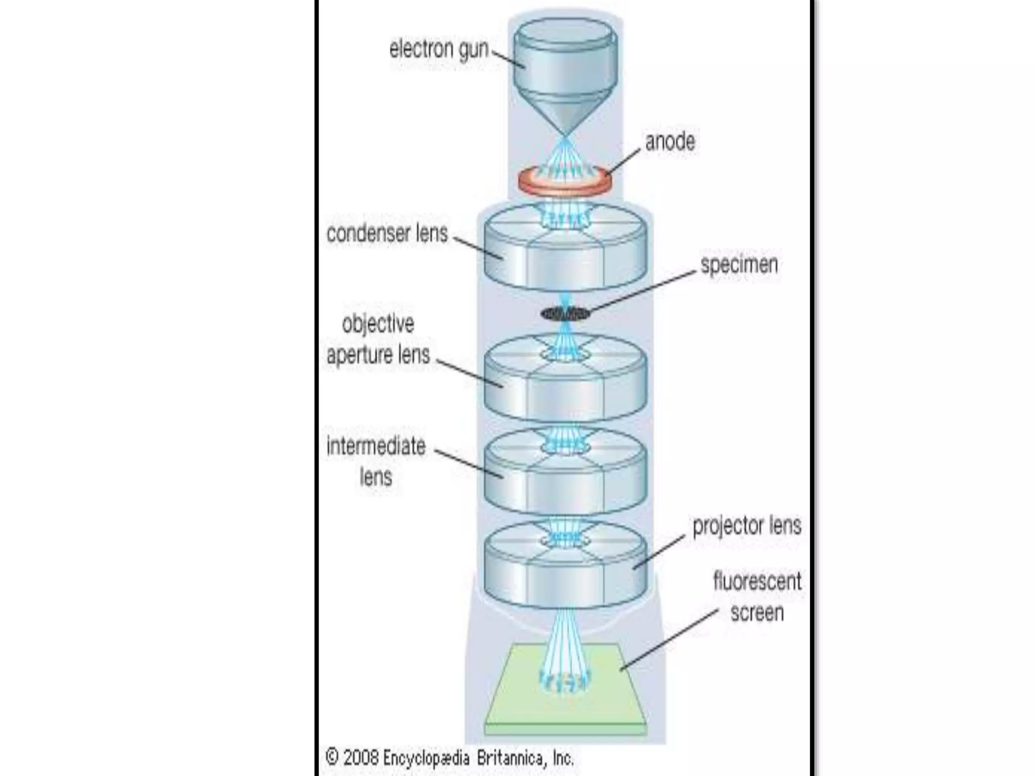 electron microscopy tem | PPT