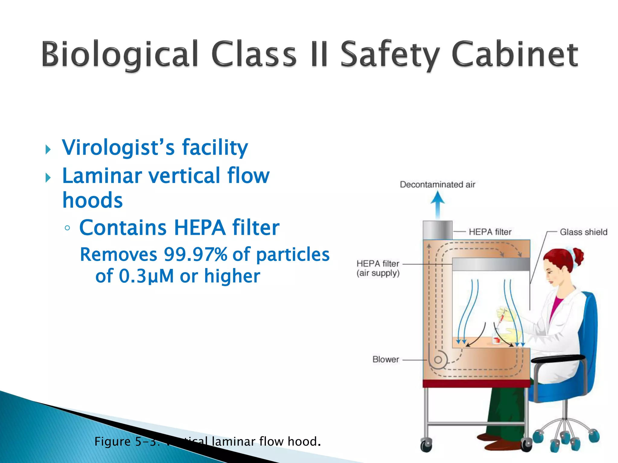 Medical Microbiology Laboratory (Introduction to Medical Virology) | PPT