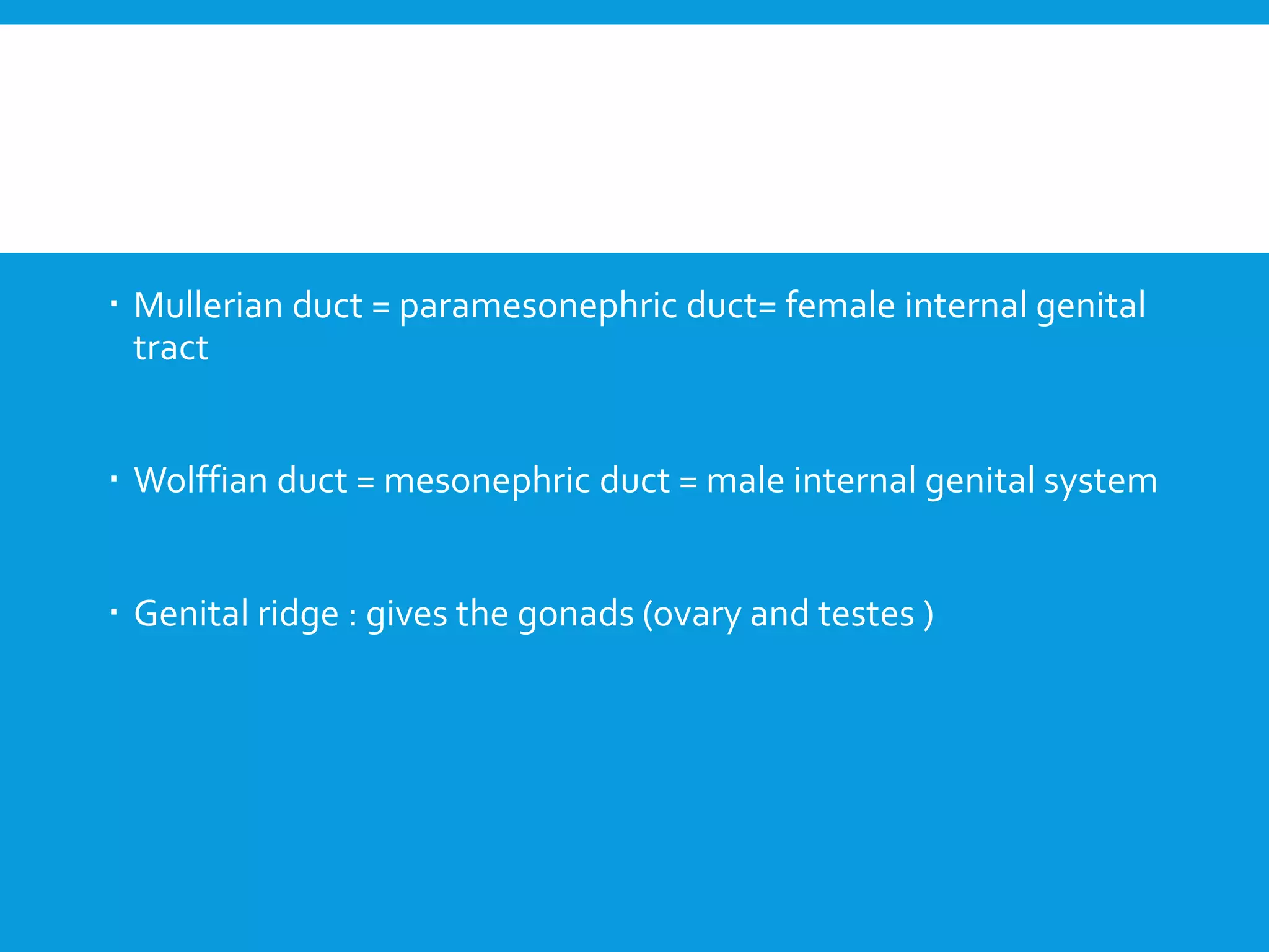 L45 Genital tract development and Puberty & their disorders | PPT ...