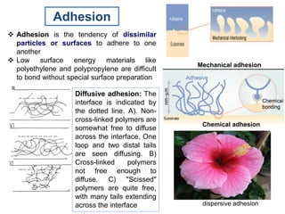 L38-Functional Properties-9Nov22.pdf