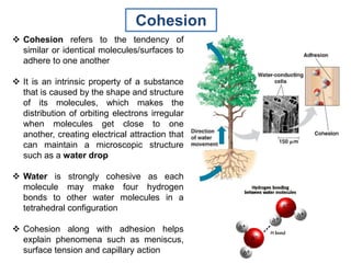 L38-Functional Properties-9Nov22.pdf